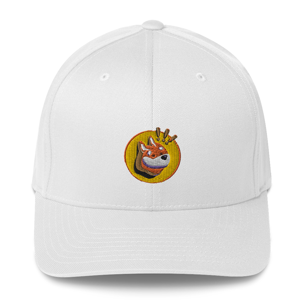 Bonk Coin BONK Structured Twill Cap – Shakan not Stirred